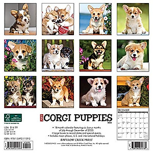Just Corgi Puppies 2021 Wall Calendar (Dog Breed Calendar)