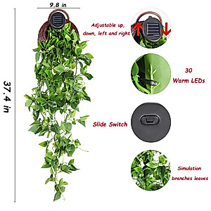 2 Pack Solar Watering Can Lights Garden Decor, Waterproof Solar Fairy Lights Hanging Solar Lantern Lights for Patio, Landscape, Pathway, Flower Bed, Gardening Gifts - 8 Modes (Lvy)