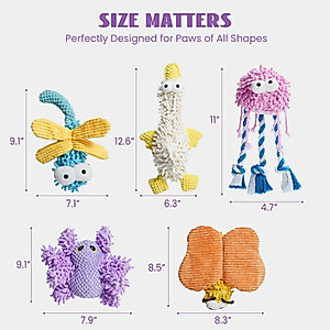 Nocciola Small Medium Dog Toys, Chenille Soft Squeaky Puppy Toys, Durable Plush Stuffed Crinkle Pet Teething Chew Toys for Medium, Small Puppy Dogs, Cute Accessories Girl Toys, 5 Packs