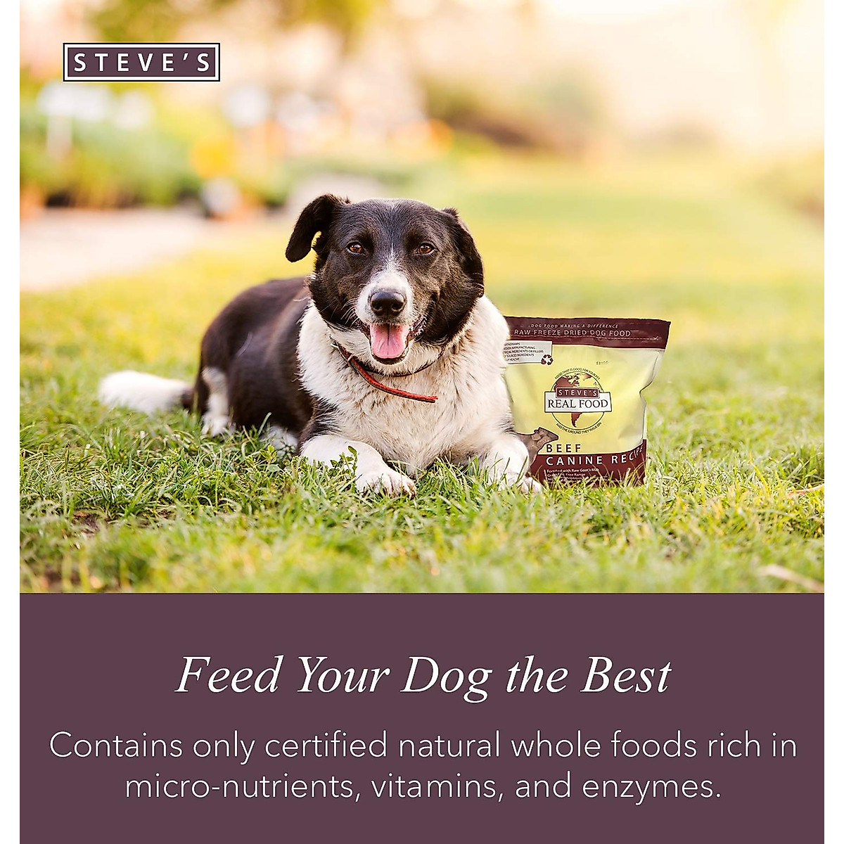 Steve's Real Food Raw Freeze Dried Dog Food Assorted Flavors- 3 Packs of 1.25 lb Bags of High Protein Dog Food in Chicken, Beef, and Turkenduck Flavors - 100% Natural USDA Human Grade Ingredients
