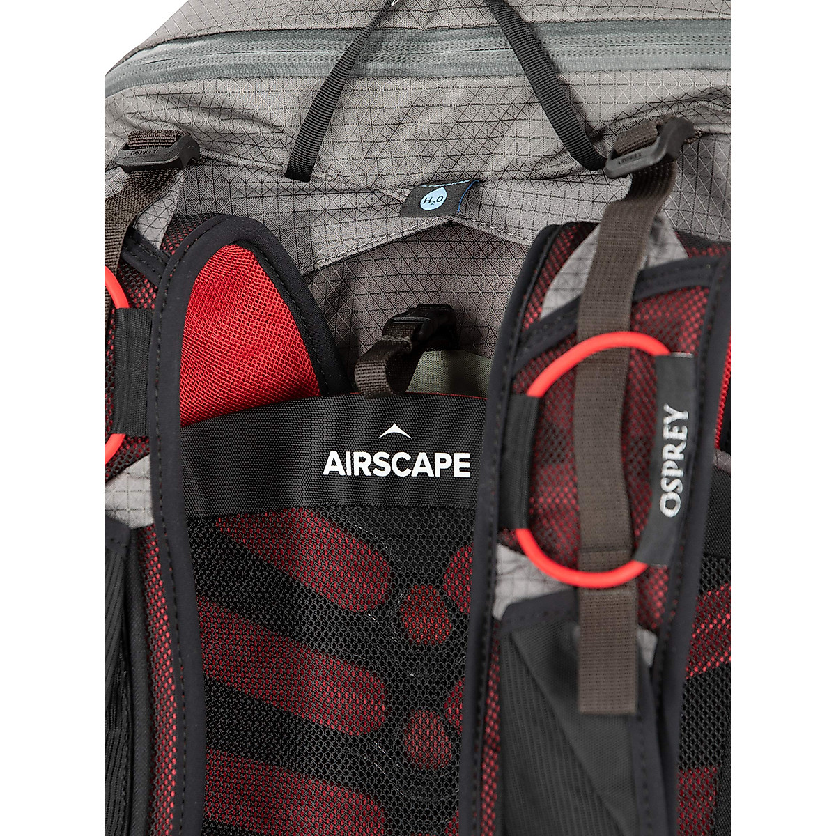 Osprey Talon Pro 30 Men's Hiking Backpack, Carbon, Large/X-Large