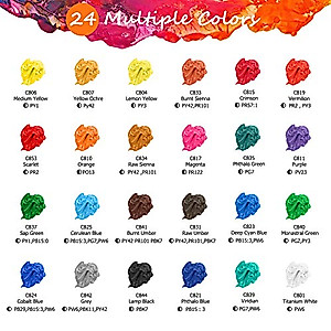 Caliart Acrylic Paint Set With 12 Brushes, 24 Colors (120ml, 4oz) Art Craft Paints for Artists Kids Students Beginners & Painters, Canvas Halloween Pumpkin Ceramic Wood Rock Painting Art Supplies Kit