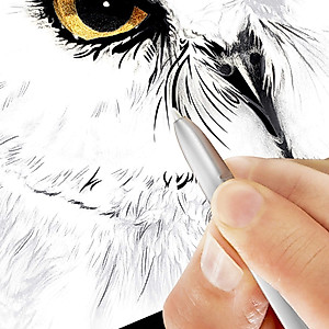 SAMSUNG Chromebook Plus V2, 2-in-1, 4GB RAM, 64GB eMMC, 13MP Camera, Chrome OS, 12.2", 16:10 Aspect Ratio, Light Titan (XE520QAB-K03US) (Renewed)