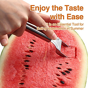 Dizzily 2PCS Watermelon Cutter Slicer Fruit Fork and Melon Baller Scoop Tool - 2-in-1 Stainless Steel Watermelon Dual Head Watermelon Cuber Cutting Tool Knife for Family Parties Kitchen Camping