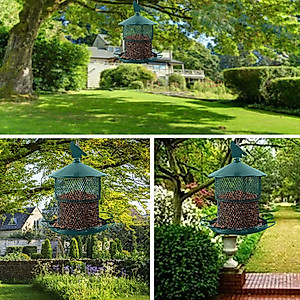 Metal Bird Feeders for Outside Hanging,Squirrel Proof Wild Bird Feeders for Cardinal, Heavy Duty with 4lbs Large Seed Capacity,6 Perches for Garden Yard Outdoors