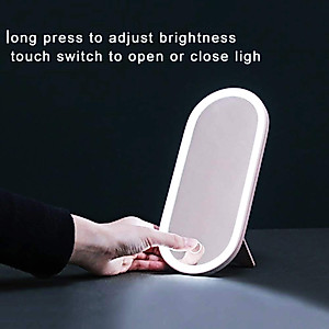 Travel Makeup Bag Organizer with LED Light Mirror, Makeup Organizer/Train Case Portable Cosmetic/Jewelry Organizer for Women