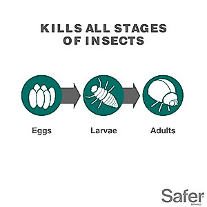 Safer Brand 5192-6, 16 oz Horticultural & Dormant Spray Oil Concentrate, 1 Pack, Green