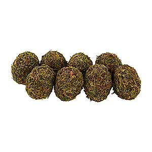 Mud Pie Preserved Moss Egg Filler Set, 4" x 7 1/2", Cream