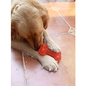 Dog Squeaky Toys Value Set Non-Toxic Dog Squeaky Balls for Dogs Toss Fetch Toys for Dogs TPR Rubber Puppy Toys Spikey Dog Chew Toys for Small Medium Dogs Pet Toys for Puppy Dog Teething Toys