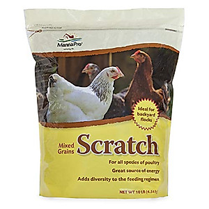 Manna Pro Ultimate Scratch Chicken Feed | Nutrient Rich Chicken Treat | 10 LB Chicken Scratch