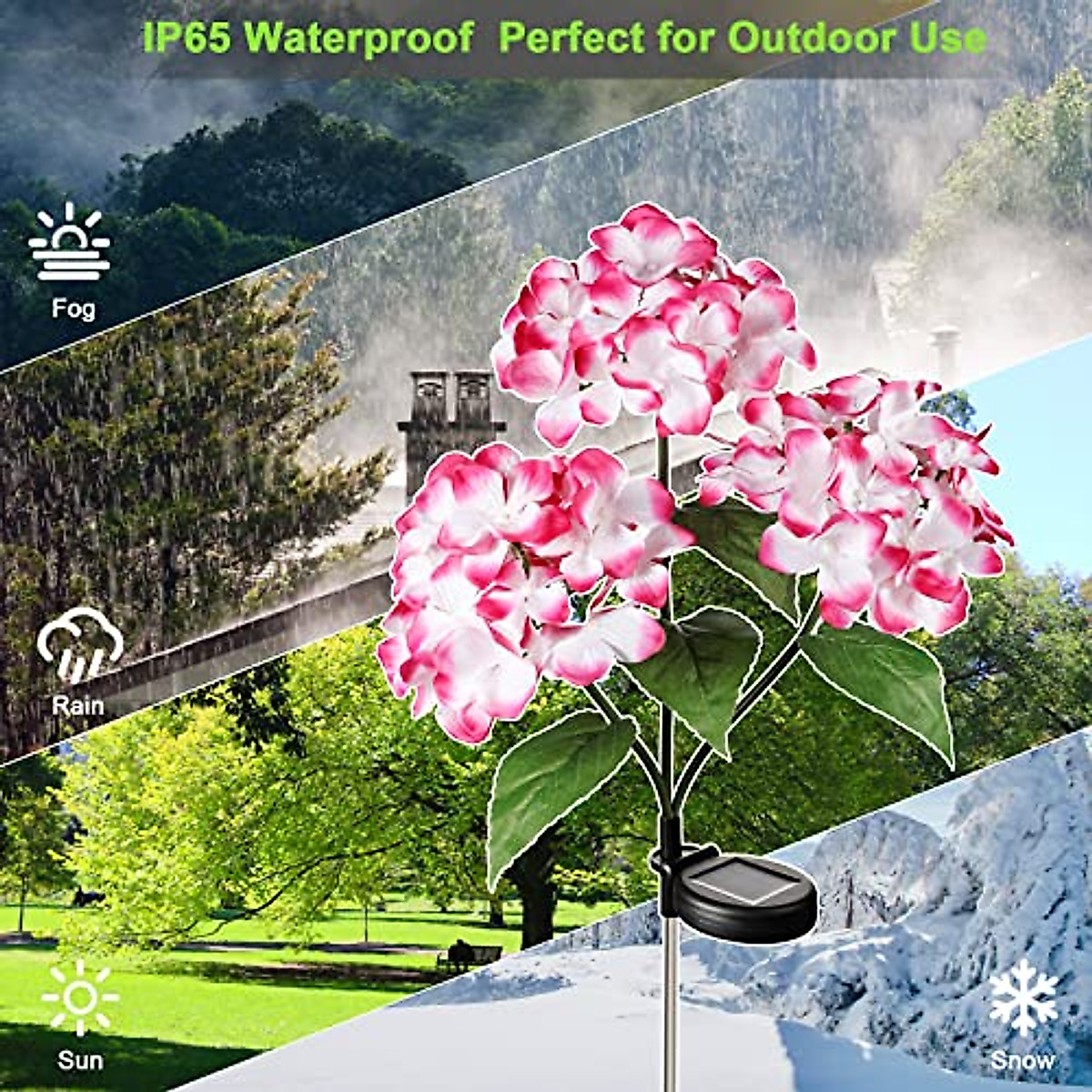 Solar Flower Lights-2 Pack Waterproof Solar Garden Flower Lights with Solar Hydrangea Stake, Solar Decorative Lights for Patio, Courtyard, Garden Lawn (Blue & Rose Red)