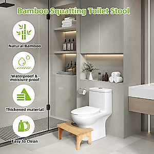 Toilet Potty Stool,Toilet Squatting Stool,Bamboo Toilet Foot Stool Bathroom Step Stool,Poop Stool with Non-Slip Feet (Plastic)