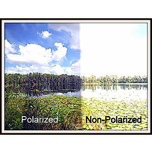 GALAXYLENSE Replacement Lenses for Oakley Gascan Polarized Multiple Color (Black/Blue/Purple/Red/Gold)