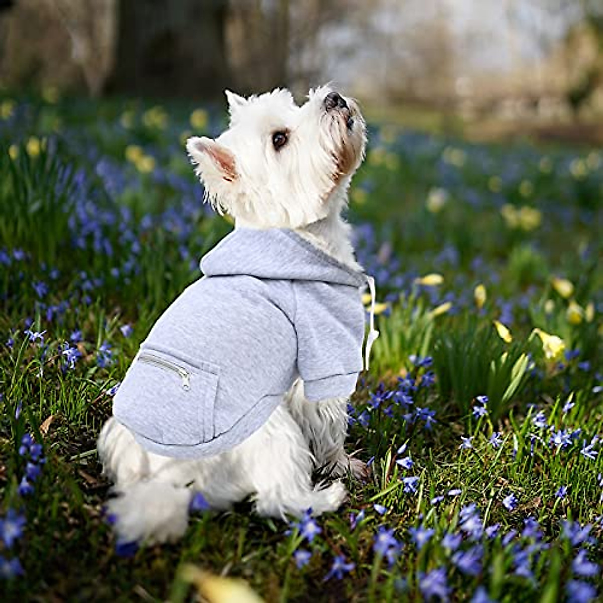 Small Girl Dog Sweater Pet Autumn and Winter Pocket Sweatshirt Gray Tops Cats Hoodies Cute Zipper Warm Pet Clothes for Dogs Small Female