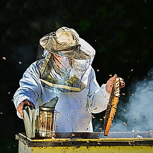 Blisstime Bee Hive Smoker Stainless Steel with Heat Shield Beekeeping Equipment