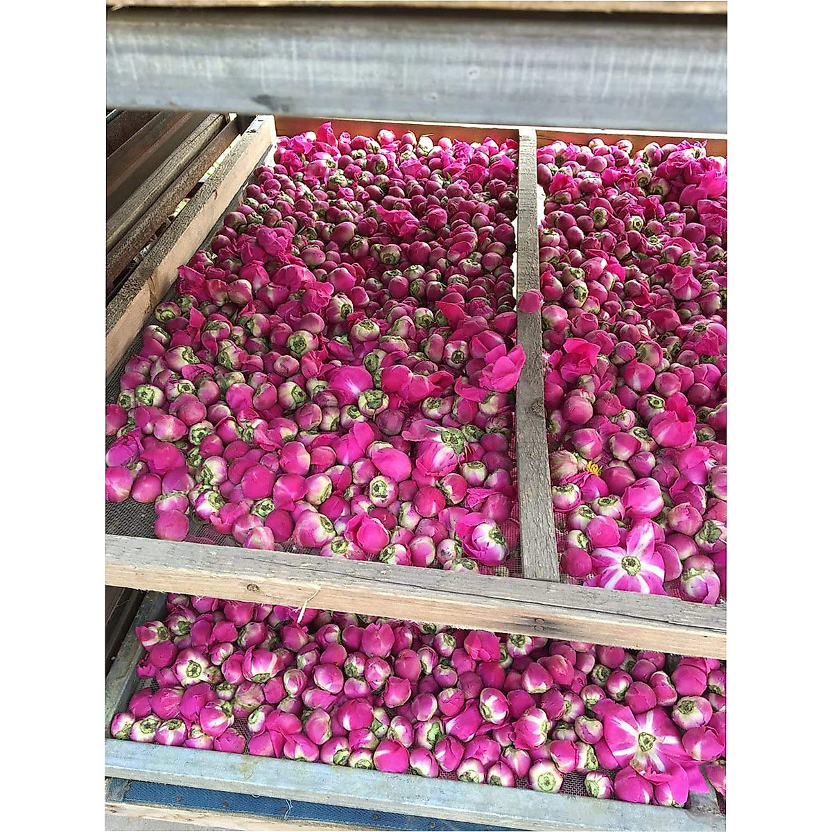 TooGet Dried Flowers Natural Flowers Includes Red Rose Flowers, Peony Ball, Gomphrena globosa, Peach Flowers, Edible Flower Kit for Soap Making Supplies, Also for All Kinds of Flower Crafts