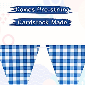 VILIFEVER 2 Pieces Blue Checkered Flags Banner, Double Sided Blue and White Gingham Bunting Garland for Summer BBQ Picnic Wedding Baby Shower Birthday Party Decorations Supplies