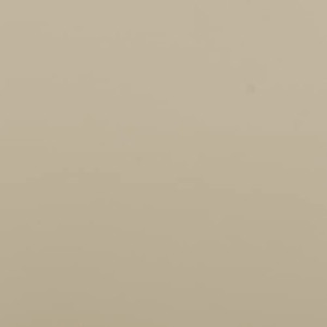 Blackjack Furniture Bailey Leather Match Upholstered Living Room Loveseat, Beige