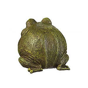 Evergreen Cute Portly Frog Outdoor Statue and Secret Key Holder | Weatherproof and Outdoor Safe | Garden Sculpture | Porch Garage or Patio Home Decor | 6 Inches Tall