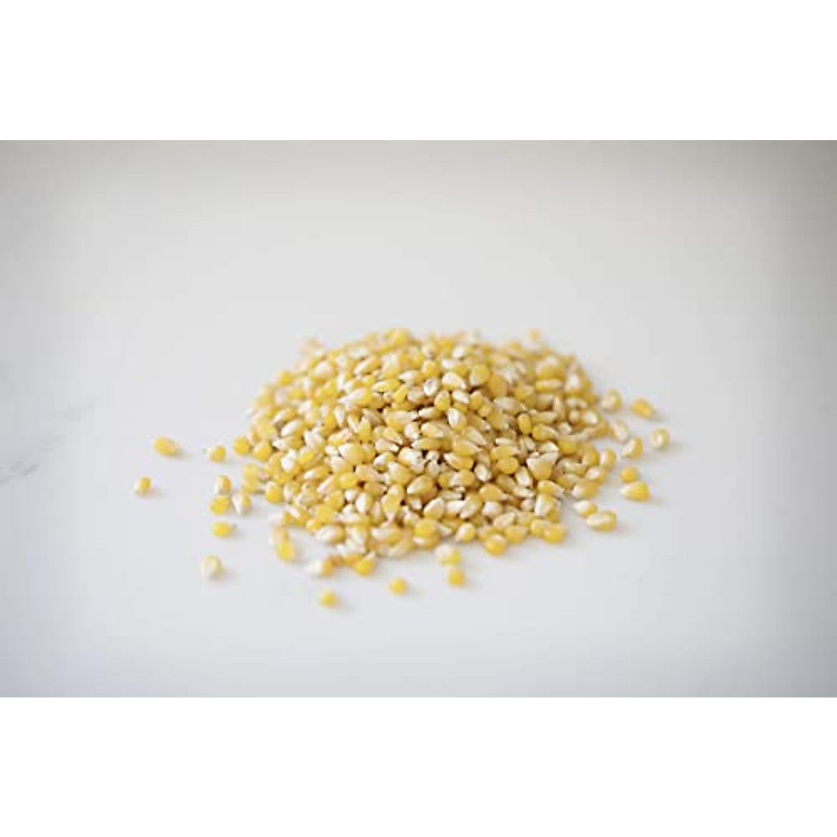 Amish Country Popcorn | 2 Lb Ladyfinger Kernels | Old Fashioned, Non-GMO and Gluten Free (2lb Bag)