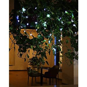 Solar Flower String Lights,AMZSTAR® 21ft 50 LED Peach Blossom Fairy Lights Indoor/Outdoor Decorative String Lights for Home Garden Patio Lawn Party and Weeding Decorations(White)