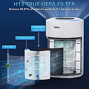 Air Purifier for Bedroom, H13 True HEPA Air Purifier for Home Large Room Up to 1722ft², with Night Light, Sleep Mode for Allergies Pets Dust Smoke Pollen Dander Hair Smell and Dog Odor