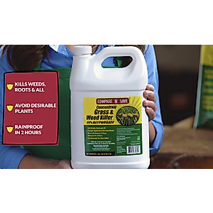 Compare-N-Save 75324 Herbicide, 1-gallon, white