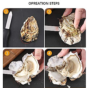 Zsirue Oyster Shucking Knife, 2.75" New Haven Style Oyster Shucker Clam Knife with Non-Slip Poly Handle, Seafood Opener Seafood Tools (White)