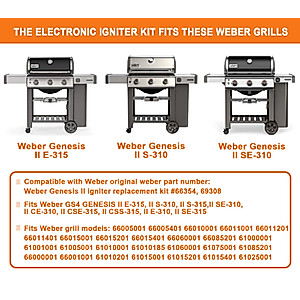 66354 69308 Igniter Kit Replacement for Weber GS4 Genesis II Grill Parts Ignition for Weber GS4 Genesis 2 E315, 2 S310, II S315, II SE-310, II SE-315, II CE-310, II CSE-315, II CSS-315, 2 E-310 Grills