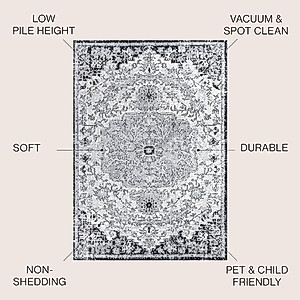 JONATHAN Y BMF112A-4 Anaise Ornate Boho Medallion Indoor Area-Rug Bohemian Floral Easy-Cleaning High Traffic Bedroom Kitchen Living Room Non Shedding, 4 X 6, Gray/Black/Cream