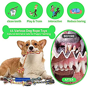Dog Puppy Toys, Value Puppy Chew Toys for Med to Small Dogs with Interactive Dog Rope Toys, Dog Treat Dispenser Ball, Dog Squeak Toys, Tug of War Toys for Fun and Teeth Cleaning Dog Chew Toys(20 Pack)