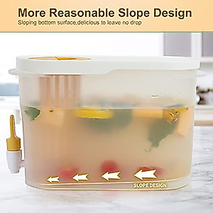 Xmamerce 3/4 Gallon Cold Brew Coffee Maker with Stainless Steel Mesh Filter,BPA Free Plastic Drink Dispensers Beverage Juice Dispenser With Infuser Drink Containers and A Spigot For Parties(Green)