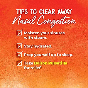 Boiron Pulsatilla 30C Homeopathic Medicine for Relief from Cold, Nasal Congestion, Thick Mucus, and Cough - 3 Count (240 Pellets)