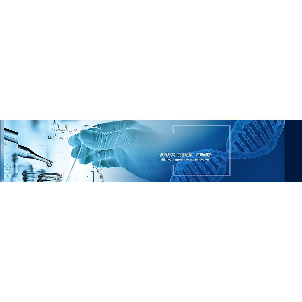 Akersunder Pramiracetam Powder, Purity 99+%, 5 Grams