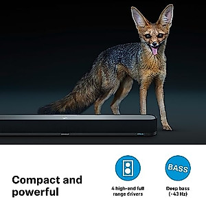 Sennheiser AMBEO Soundbar Mini - Immersive 3D Audio for TV, Movies, and Music - Compact Device with Powerful Adaptive Features, Multiple Connectivity and Intuitive Usage