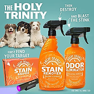 ANGRY ORANGE UV Flashlight - LED Black Light Detector for Dry Dog Urine - Flashlights Make Stains Glow in The Dark with Ultraviolet Blacklight