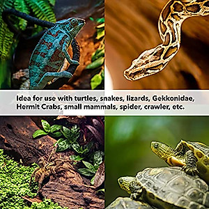 BN-LINK Durable Reptile Heating Pad 8" X 12" with Digital Thermostat Under Tank Heater Terrarium Warmer Combo Set for Turtles, Lizards, Frogs, and Other Reptiles