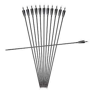 SHARROW 12 Pack 34" Archery Carbon Arrows Practice Hunting Arrows 500 Spine with 4 Inch Shield Real Turkey Feathers 100 Grain Removable Tips for Compound Recurve Bow (Arrows)