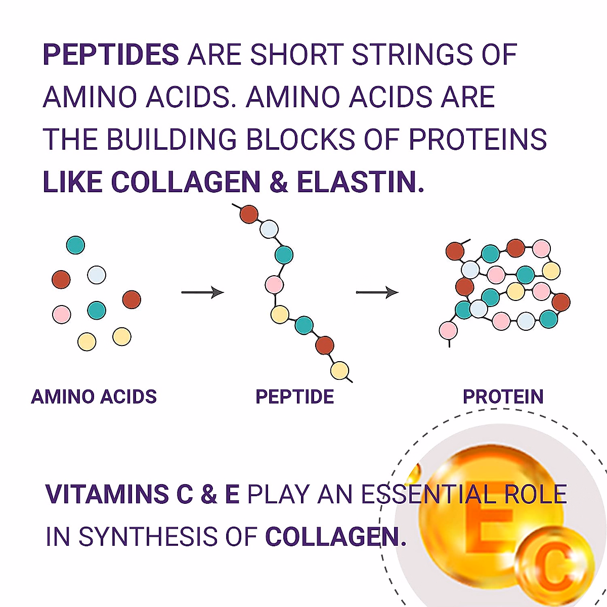 Desert Beauty Neck Firming Cream, Anti Aging Moisturizer for Neck & Décolleté (3.38 oz / 100ml Large Bottle) | Advanced Stem Cell + Collagen Formula For Tightening & Lifting Sagging Skin