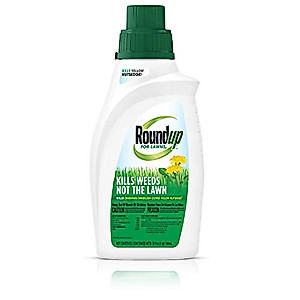 Roundup For Lawns2 Concentrate (Northern), 32 oz. - Lawn Safe Weed Killer for Northern Lawns, Kills Crabgrass, Dandelion, Clover and Yellow Nutsedge - Kills Weeds, Not the Lawn
