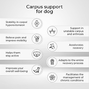 Ortocanis - Dog Carpal Support Brace - Carpal Instability or Osteoarthritis - Stabilizes and Reduces Pain - with Two Immobilization Splints - Made of Neoprene - Size XXL 15-19 cm