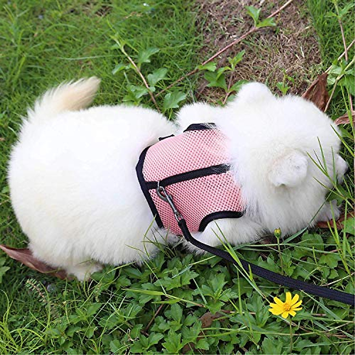 Pettom Bunny Rabbit Harness with Stretchy Leash Cute Adjustable Buckle Breathable Mesh Vest Harness and Leash Set for Kitten Small Pets Holland Lop Bunnies Walking (S(Chest:10.8-12.9 in), Pink)