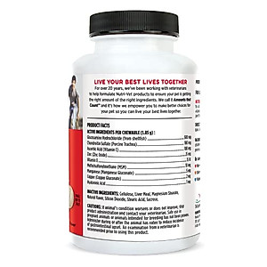 Nutri-Vet Hip & Joint Chewable Dog Supplements | Formulated with Glucosamine & Chondroitin for Dogs | 120 Count