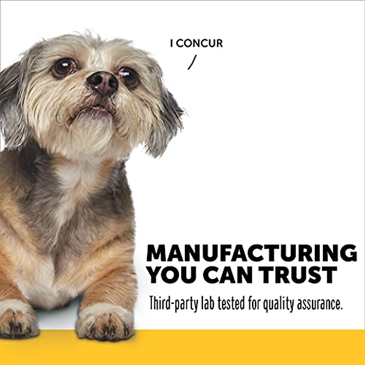 SmartyPants Dog Vitamins and Supplements, Senior Formula: Multivitamin with Glucosamine, Chondroitin, & Probiotics for Joint, Skin, & Gut Support, Peanut Butter Flavor, 60 Soft Chews by SmartyPaws