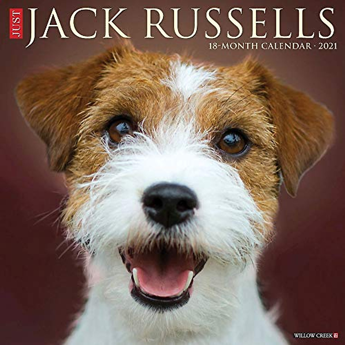 Just Jack Russells 2021 Wall Calendar (Dog Breed Calendar)