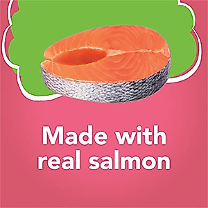 Purina Friskies Wet Cat Food Pate, Salmon Dinner - (24) 5.5 oz. Cans