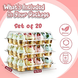(12 Pack x 20 Sets) Gencywe Stackable Cupcake Carrier with 240 Pack Cupcake Liners, Plastic Cupcake Boxes Holders for 12 Cupcakes, High Tall Dome Lid Cupcake Containers, Clear Disposable Cupcake Trays