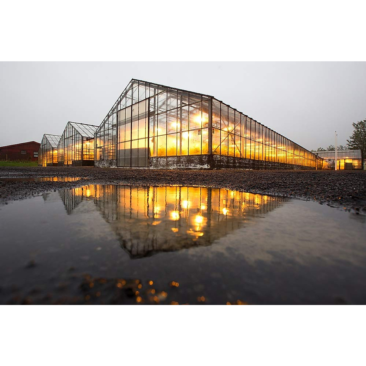 Light Rail 4.20 AdjustaDrive Kit Robotic Grow Light Mover for 2 Lights, Genuine Solidly Made in The USA