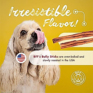 BFF Bully Sticks 6 inch (10 Count) - Long Lasting Dog Treats - Natural No-Hide Grain-Free Gluten-Free Dog Chews - Low Odor Bully Sticks - Thick Bully Sticks for Small and Medium Dogs