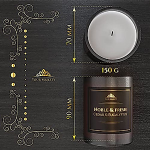 Your Majesty Cedarwood and Eucalyptus Scented Candle for Home [35 Hours Burning Time] Natural Soy Wax Candle with Essential Oils, Clean Burn Aromatherapy Candle, 5.3 Oz